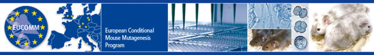 The EUCOMM program | IMPC | International Mouse Phenotyping Consortium