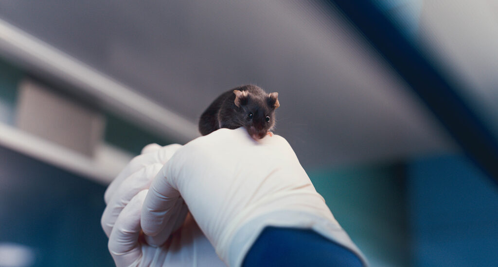 Home | IMPC | International Mouse Phenotyping Consortium