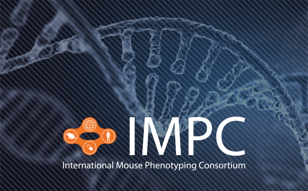 IMPC Awards of Excellence 2020 | IMPC | International Mouse Phenotyping ...