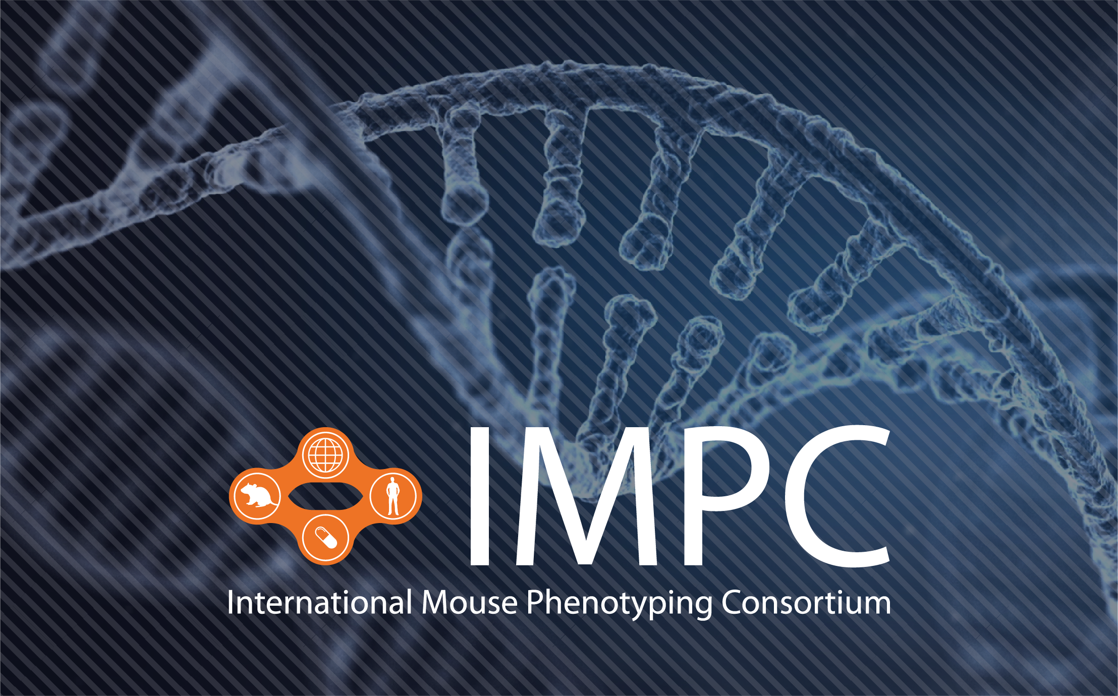 IMPC Awards of Excellence 2020 | IMPC | International Mouse Phenotyping ...
