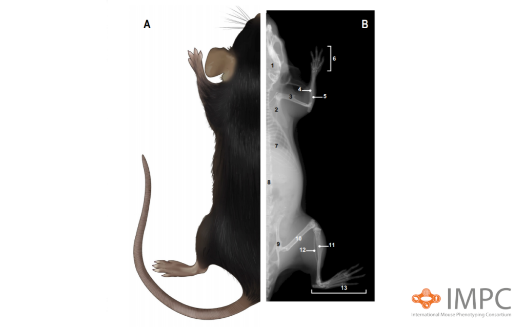 Universitat Autònoma de Barcelona and MRC Harwell Collaborate on ...