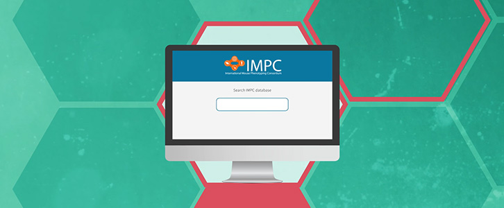 Getting Started with IMPC Data | IMPC | International Mouse Phenotyping ...