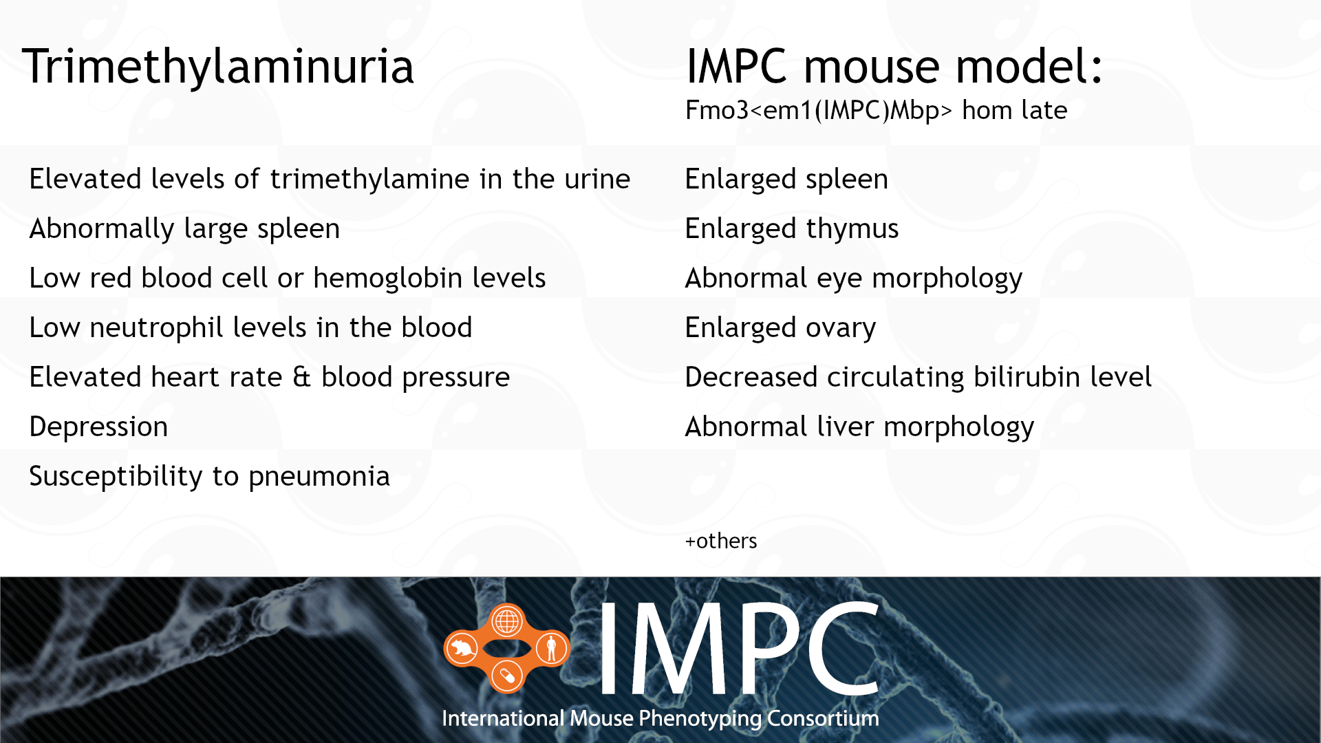 Rare Disease Day 2022 | IMPC | International Mouse Phenotyping Consortium