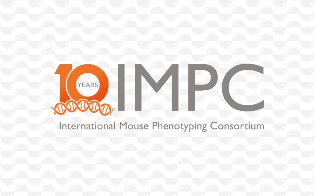 Celebratory workshops for the 10th anniversary of the IMPC completed ...