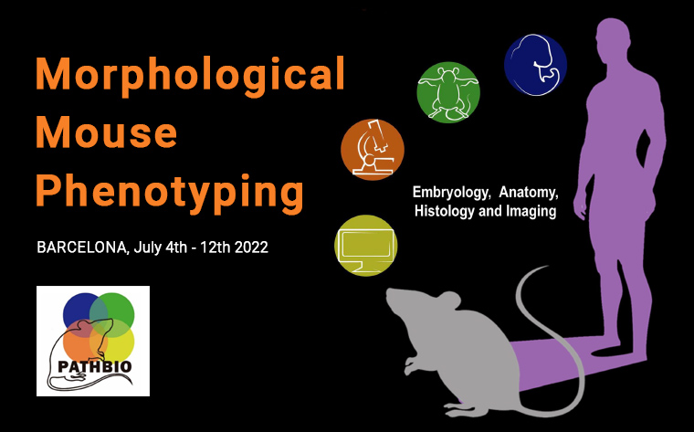 PATHBIO course on Morphological Mouse Phenotyping | IMPC ...