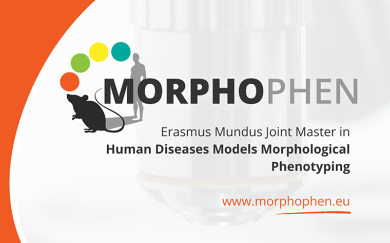 Home | IMPC | International Mouse Phenotyping Consortium